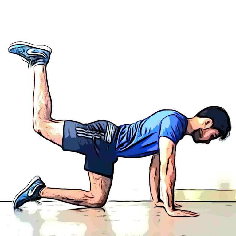 Les principaux exercices de musculation sans matériel Les principaux exercices de musculation sans matériel