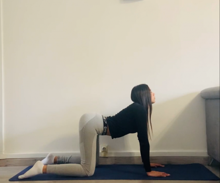 La posture du chat-vache ou Marjarasana Mukha, soulagez votre dos
