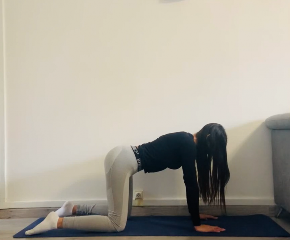 La posture du chat-vache ou Marjarasana Mukha, soulagez votre dos