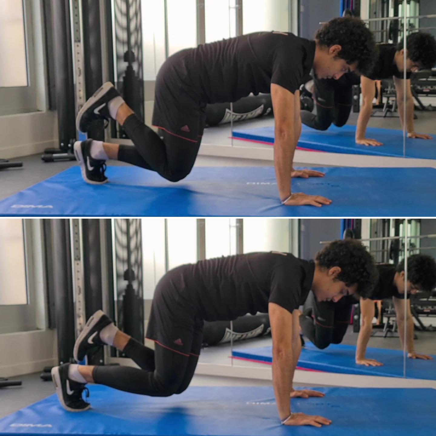 Bear Plank, une variante de gainage abdominal aux multiples qualités