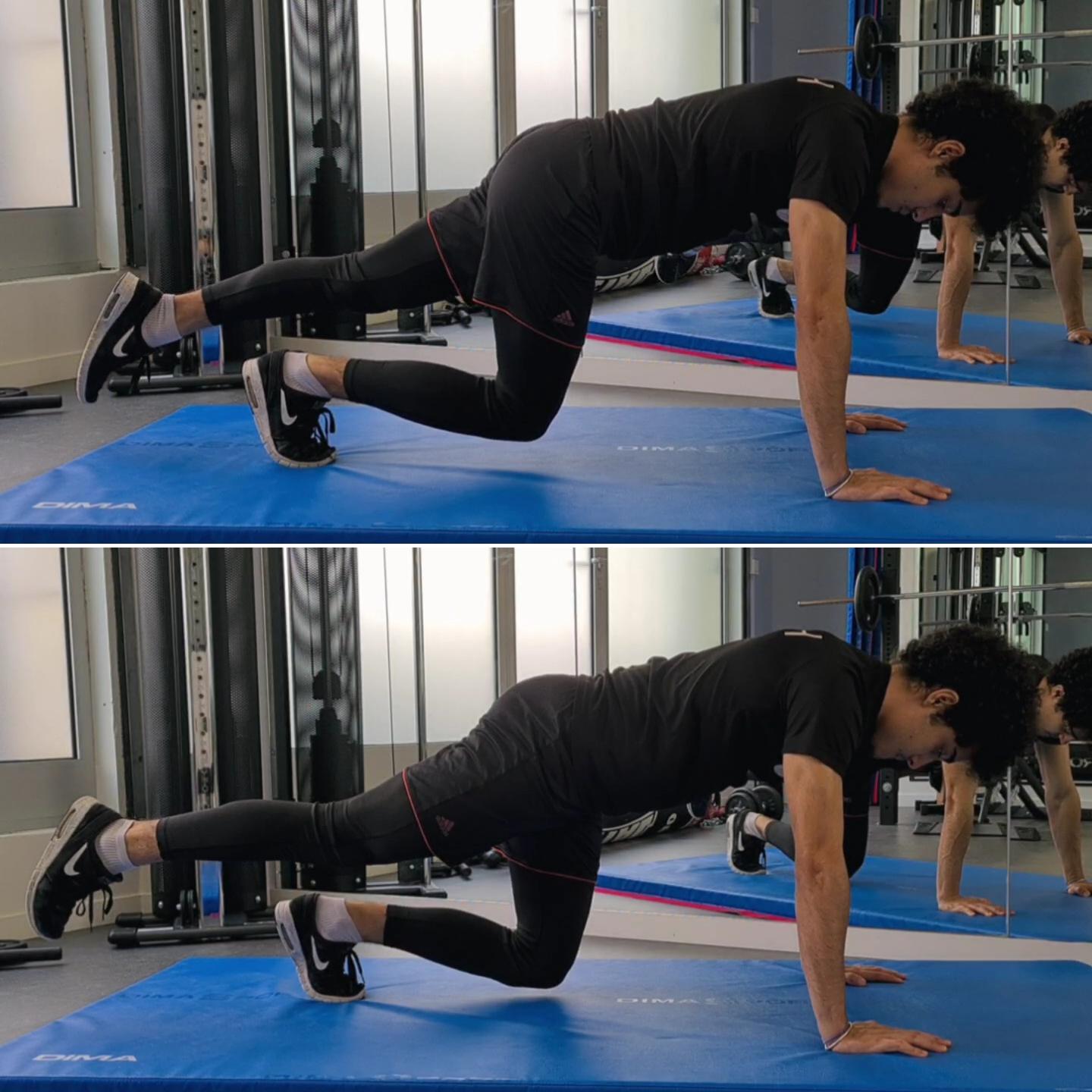 Bear Plank, une variante de gainage abdominal aux multiples qualités