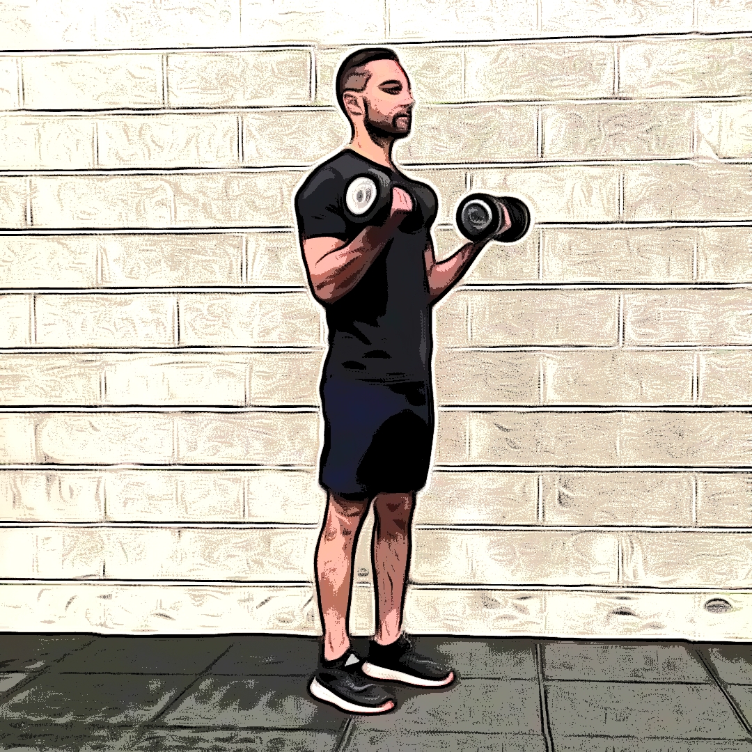 Biceps curl : des bras massifs avec notre coach privé