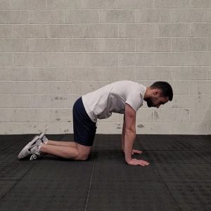 Scapula Push Up : démonstration du coach pour vous renforcer
