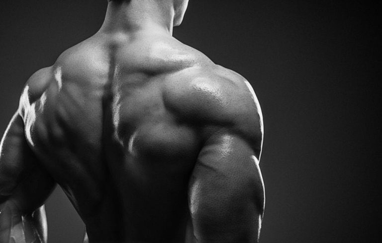 Trapèzes : Anatomie et Fonctions par un coach sportif